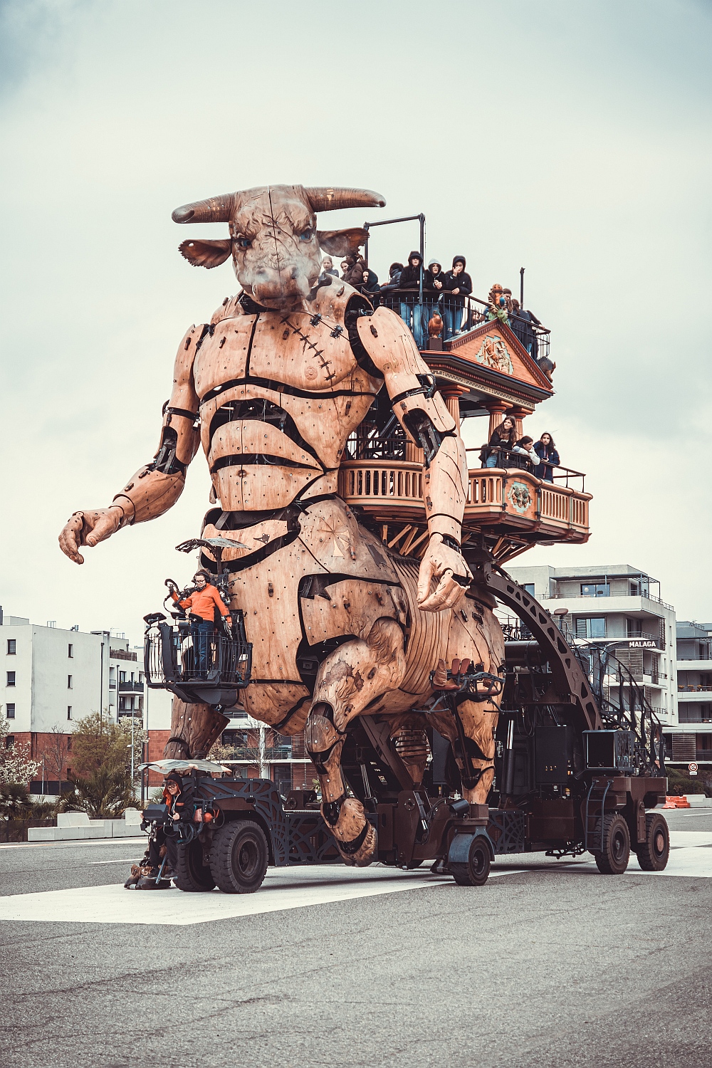 Toulouse - Dillon Shook